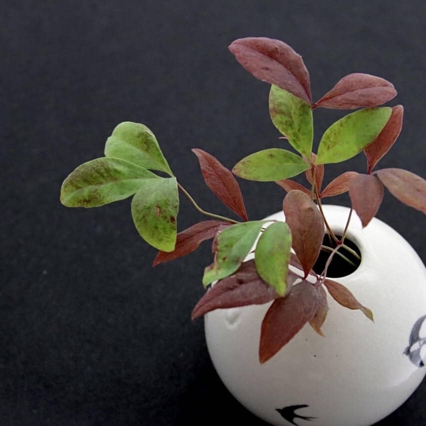 (新品)HIZEN5 ヒゼンファイブ ステーショナリー ETSUKE D ツバメ（商品ID：2717014402703）詳細ページ | 万年筆 ボールペンなど高級筆記具の販売・買取｜キングダムノート